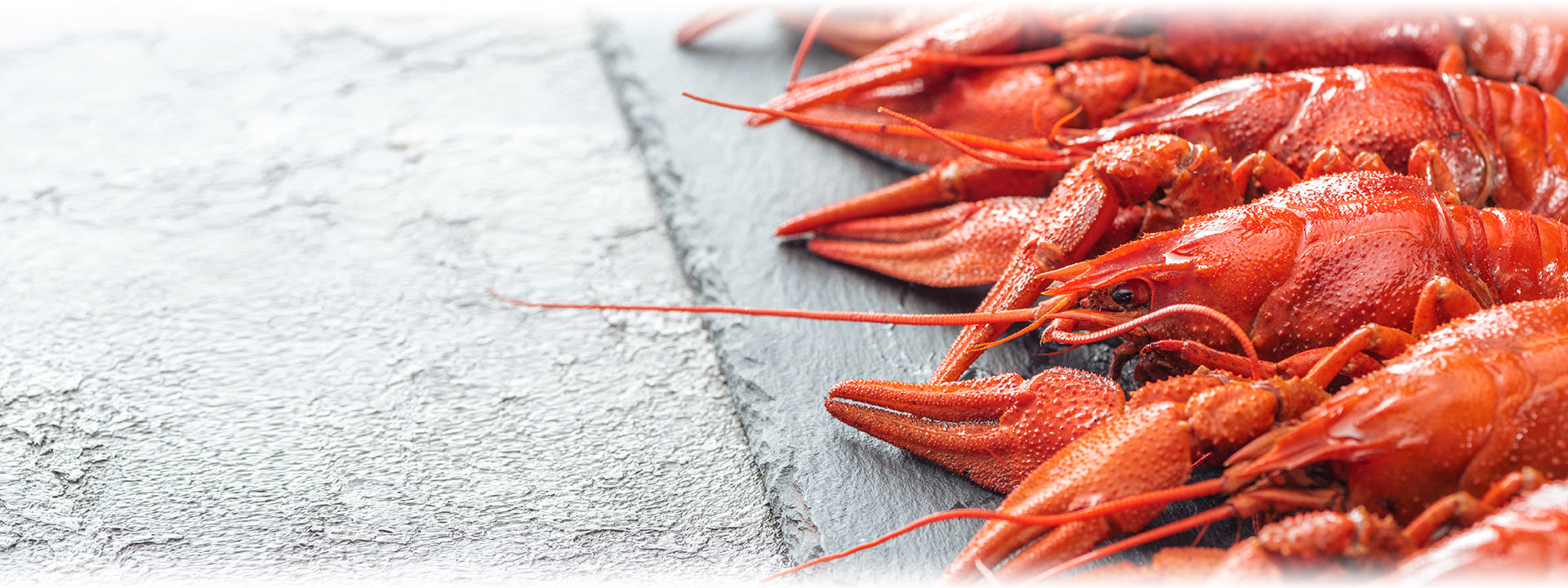 Earl's Live Crawfish